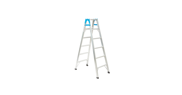 Dual-Purpose Ladder