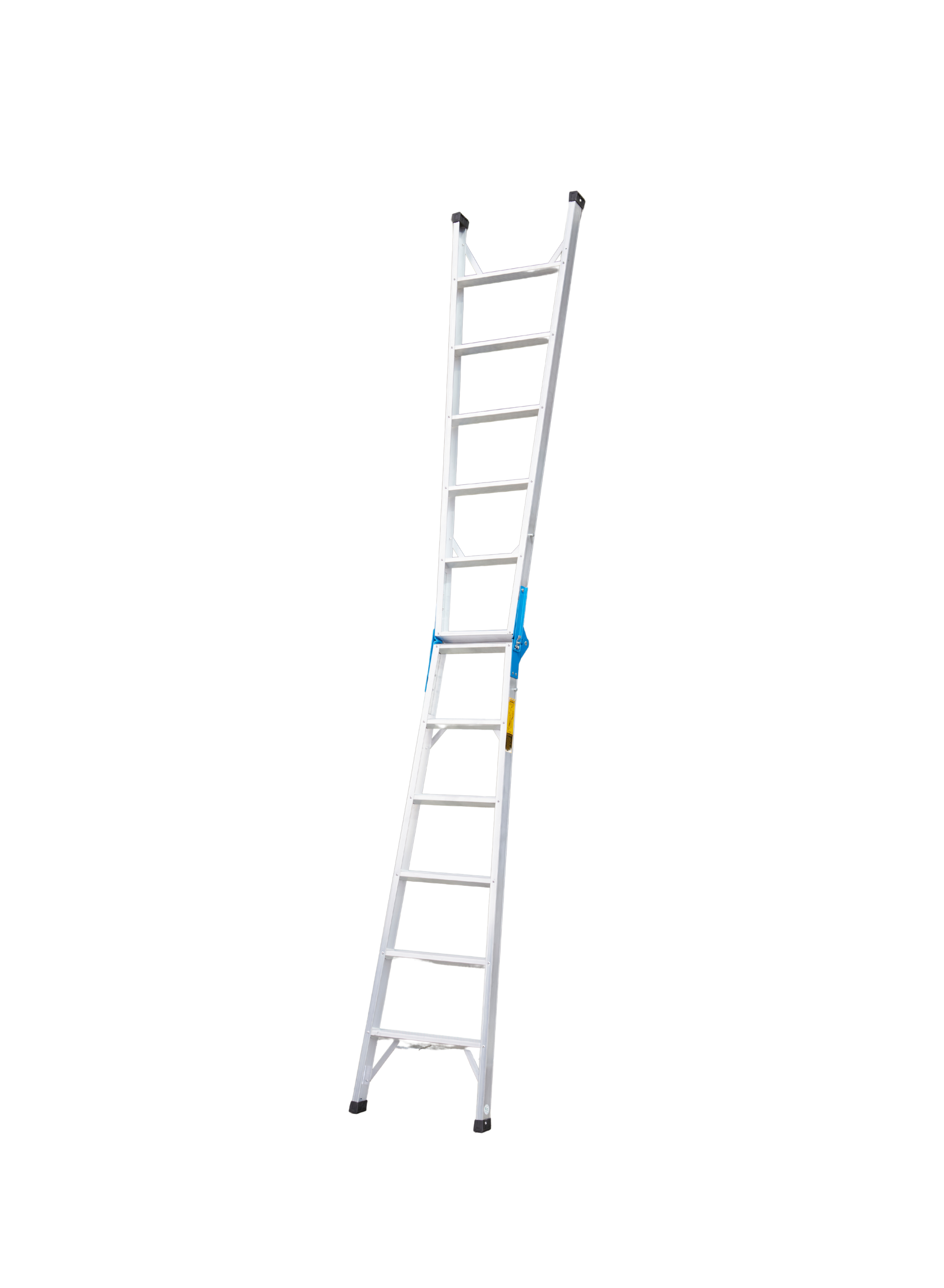 Dual-Purpose Ladder