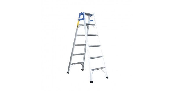 Dual-Purpose Ladder