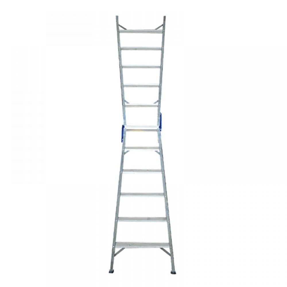 Dual-Purpose Ladder